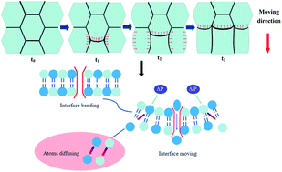 The growth behavior of columnar grains in a TiAl alloy during ...