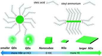 Changing the shape and optical properties of CsPbBr3 perovskite ...