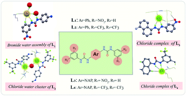 Effect of substitution on halide/hydrated halide binding: a case study ...