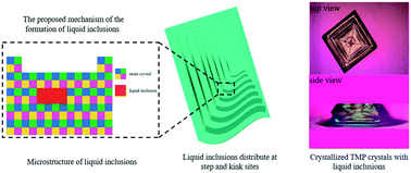Effect of crystal growth kinetics on the formation of liquid inclusions ...