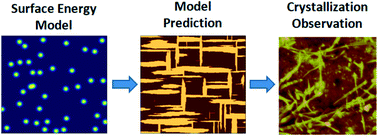 The role of surface energy heterogeneity on crystal morphology during ...
