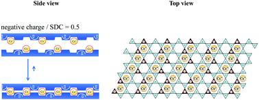 Which types of clay minerals fix cesium ions effectively? the “cavity ...