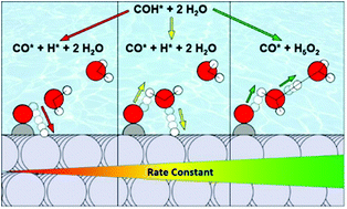 Insights into how the aqueous environment influences the kinetics and ...