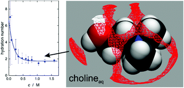 Hydration and ion association of aqueous choline chloride and ...