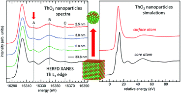 Understanding the size effects on the electronic structure of ThO2 ...