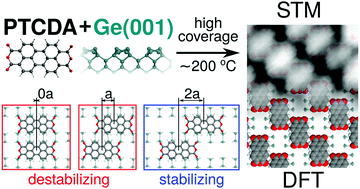 Self-ordering of chemisorbed PTCDA molecules on Ge(001) driven by ...