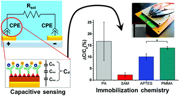 Interfacial capacitance immunosensing using interdigitated electrodes ...
