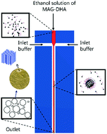 A hydrodynamic flow focusing microfluidic device for the continuous ...