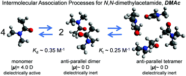 Anti-parallel dimer and tetramer formation of cyclic and open structure ...