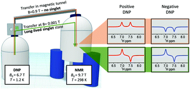 Transport of hyperpolarized samples in dissolution-DNP experiments ...