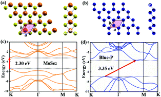 Enhancing electronic and optical properties of monolayer MoSe2via a ...