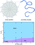 Structural properties of the evolution of CTAB/NaSal micelles ...
