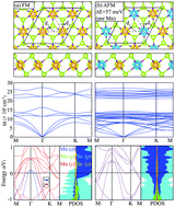 Defect tolerant and dimension dependent ferromagnetism in MnSe2 ...