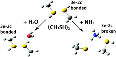 Effects of solvent molecules on hemi-bonded (CH3SH)2+: infrared ...