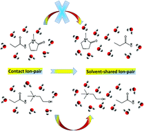 Spectroscopic and computational insights into the ion–solvent ...
