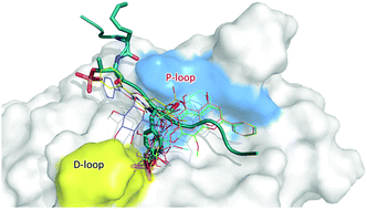 New application of in silico methods in identifying mechanisms of ...