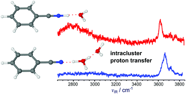 Intracluster proton transfer in protonated benzonitrile–(H2O)n≤6 ...