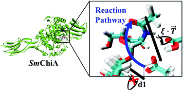 A novel ring-shaped reaction pathway with interconvertible ...