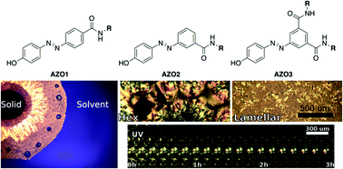 Structural relationships for the design of responsive azobenzene-based ...