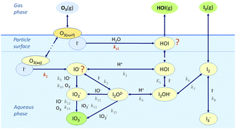 Iodide conversion to iodate in aqueous and solid aerosols exposed to ...