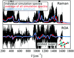 Simulation of Raman and Raman optical activity of saccharides in ...
