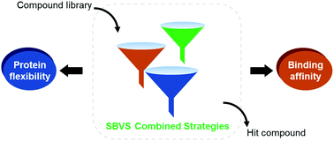 Combined strategies in structure-based virtual screening - Physical ...