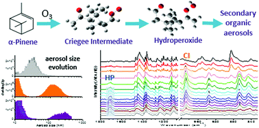 Evidence and evolution of Criegee intermediates, hydroperoxides and ...