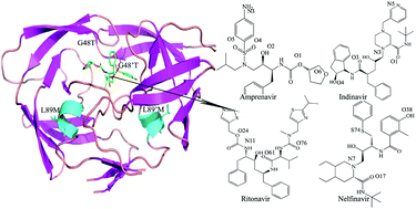Revealing the binding and drug resistance mechanism of amprenavir ...