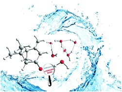 Microhydration of verbenone: how the chain of water molecules adapts ...