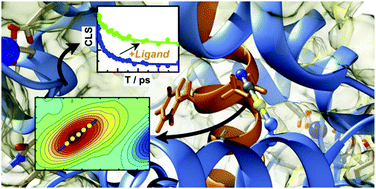 Exploring the 2D-IR repertoire of the –SCN label to study site-resolved ...