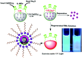 Versatile surface-active ionic liquid: construction of microemulsions ...