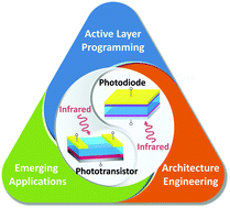 Organic photodiodes and phototransistors toward infrared detection ...