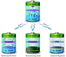 Developing high safety Li-metal anodes for future high-energy Li-metal ...