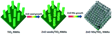 Photostable 3D heterojunction photoanode made of ZnO nanosheets coated ...