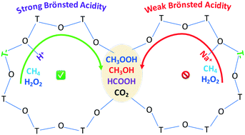 Zeolite acidity strongly influences hydrogen peroxide activation and ...