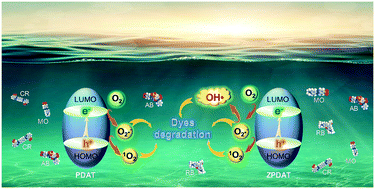Efficient organic pollutant degradation under visible-light using ...