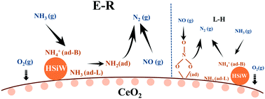 Surface acidity enhancement of CeO2 catalysts via modification with a ...