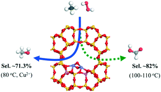 Selective mild oxidation of methane to methanol or formic acid on Fe ...