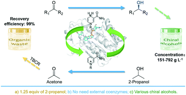 Efficient asymmetric synthesis of chiral alcohols using high 2-propanol ...