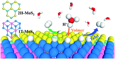 Theoretical investigation on the hydrogen evolution reaction mechanism ...