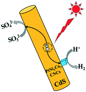 PtNixCoy concave nanocubes: synthesis and application in photocatalytic ...