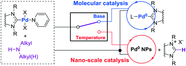 Preventing Pd–NHC bond cleavage and switching from nano-scale to ...