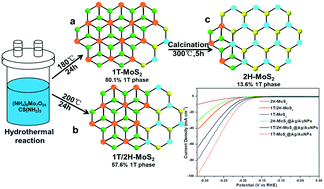 Different phases of few-layer MoS2 and their silver/gold nanocomposites ...
