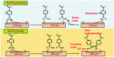 Differences in the selective reduction mechanism of 4-nitroacetophenone ...