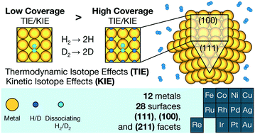 How coverage influences thermodynamic and kinetic isotope effects for ...