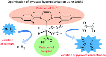 Optimisation of pyruvate hyperpolarisation using SABRE by tuning the ...