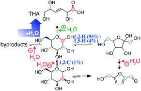 Mechanism and malleability of glucose dehydration to HMF: entry points ...