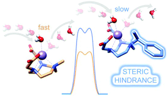 Controlling water exchange rates in potential Mn2+-based MRI agents ...