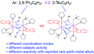 Synthesis, characterization, and reactivity of dinuclear organo-rare ...