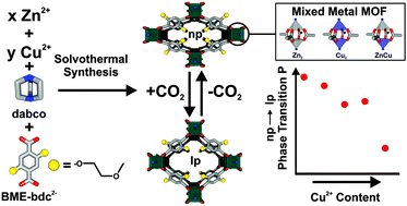 Flexibility control in alkyl ether-functionalized pillared-layered MOFs ...